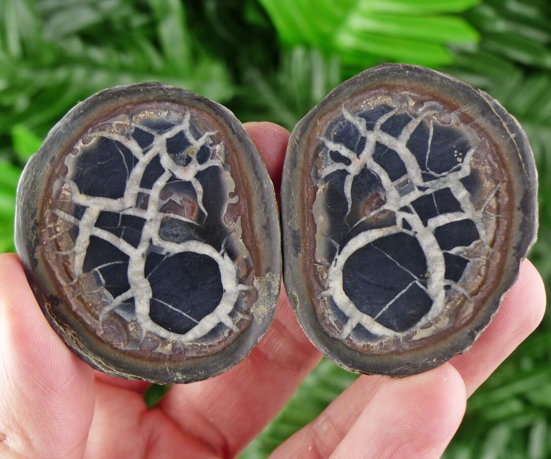Dragonstones Pair, Septarian Nodule Geode, Septaria, Dragonstone ...