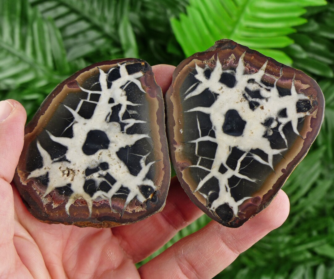 Dragonstones Pair, Septarian Nodule Geode, Septaria, Dragonstone ...