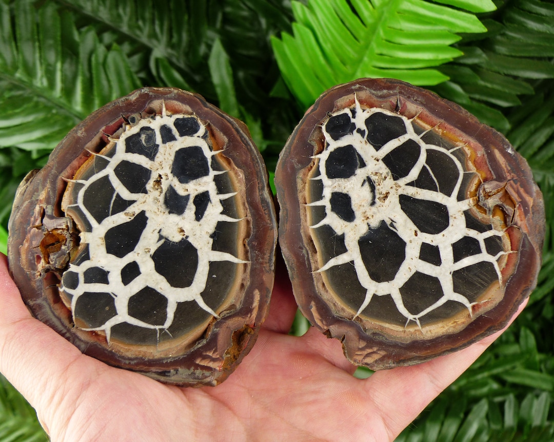 Big Septarian Nodule, Raw Crystal, Natural Mineral, Healing Crystal ...