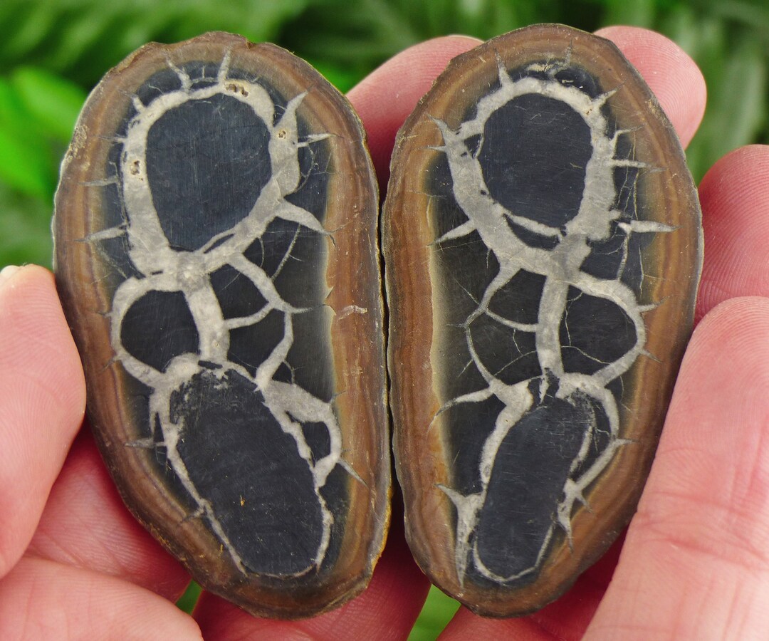 Big Septarian Nodule Geode, Big Septaria, Dragonstone, Aragonite ...