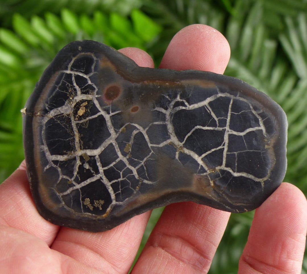 Septarian Nodule Geode, Big Septaria, Dragonstone, Aragonite, Septarian ...