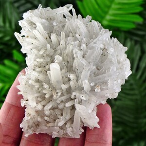 Rare Quartz Crystallization, Milky Quartz, Raw Crystal, Natural Mineral ...