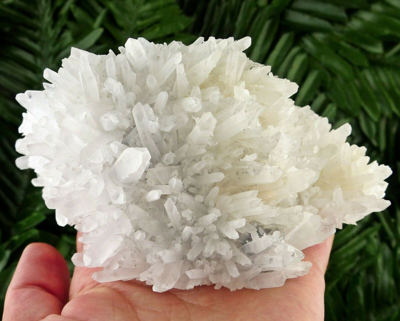 Amazing Milky Quartz Raw Crystals Quartz Crystal Mineral - Etsy