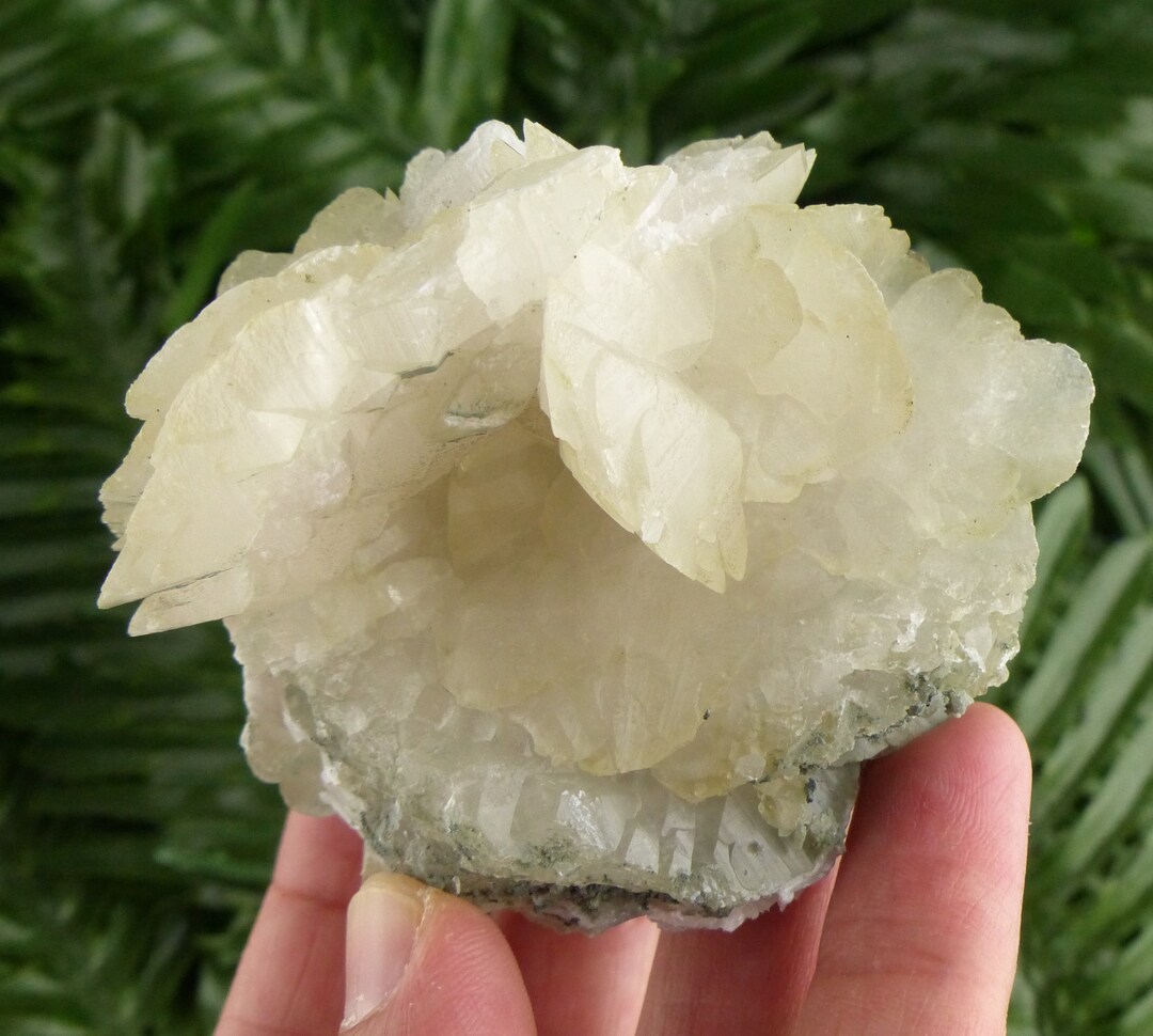 Rare Calcite Crystallization With Chlorite, Crystals, Minerals, Calcite ...