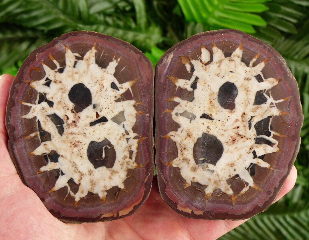 Big Septarian Nodule, Raw Crystal, Natural Mineral, Healing Crystal ...