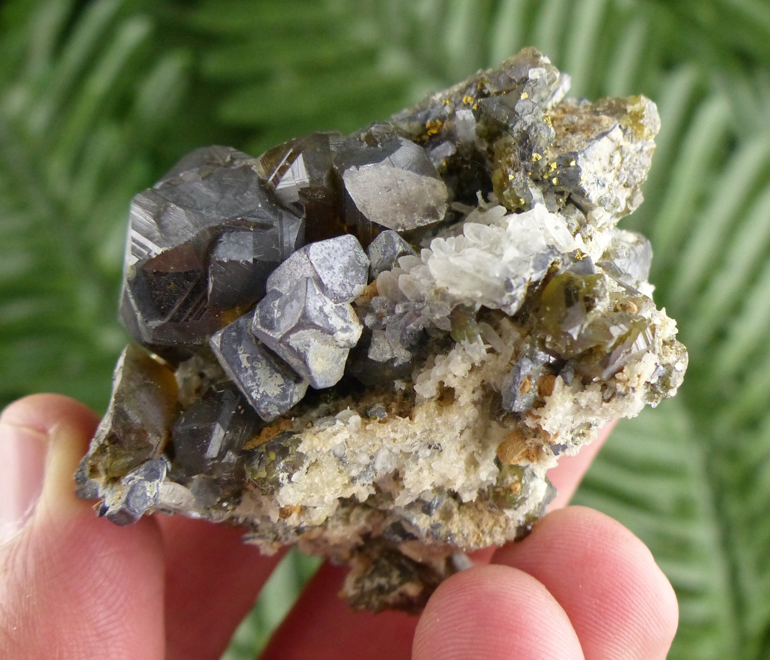 Museum Gem Sphalerite Var Cleiophane With Galena and Quartz | Etsy