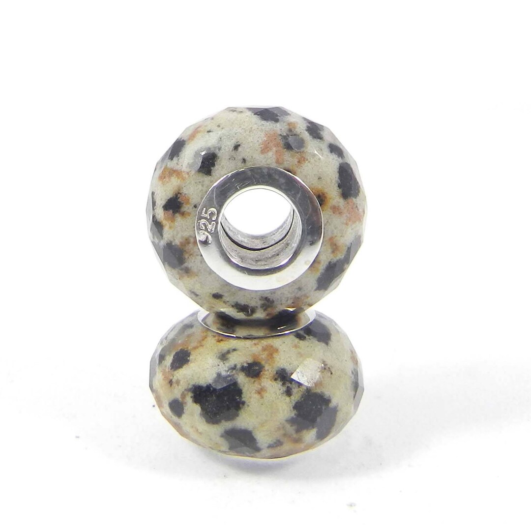 Natural Botswana Agate Dalmation Jasper Fossil Coral Golden Rutile Big ...