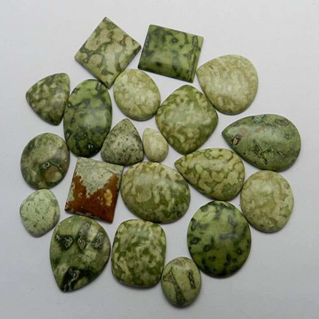 Frog Skin Jasper Cabochons, Loose Gemstone Lot (29 Pcs) - Etsy