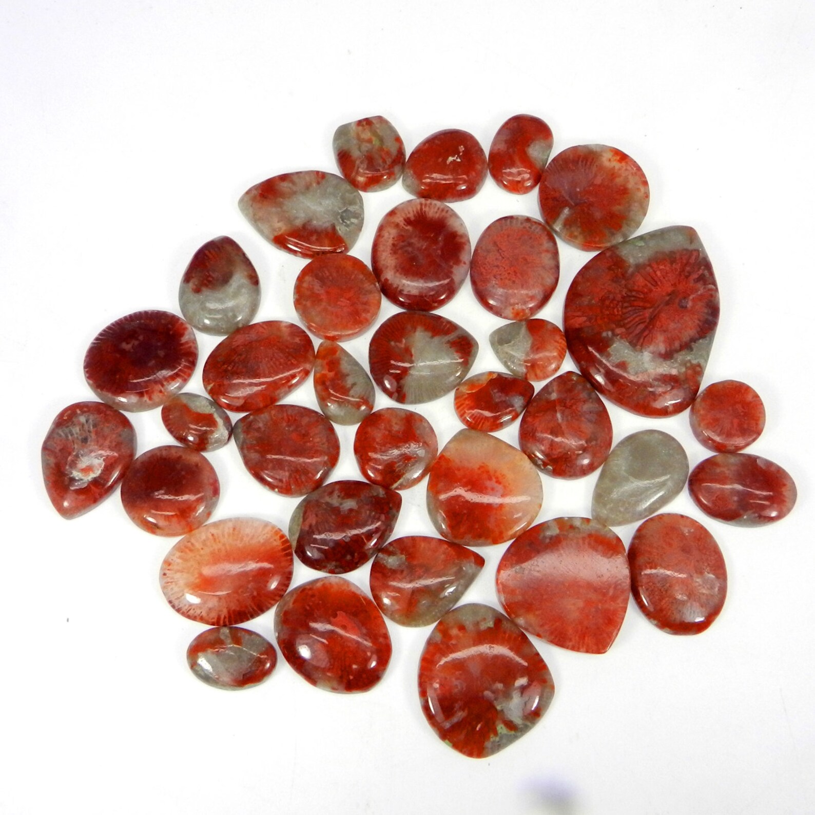 Wholesale Lot Semi Precious Stone Natural Utah Coral Mix Shape - Etsy UK