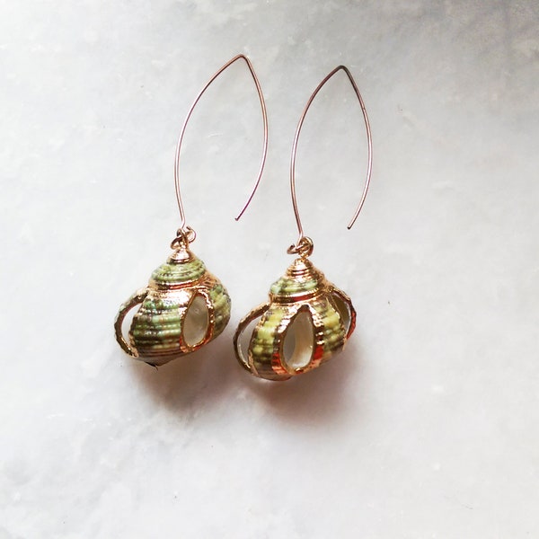 Seashell Jewelry - Etsy