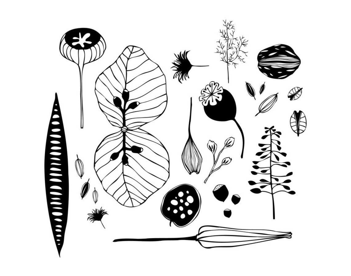 Modern Plant Print Botanical Leaf Art Print Botanical Prints - Etsy