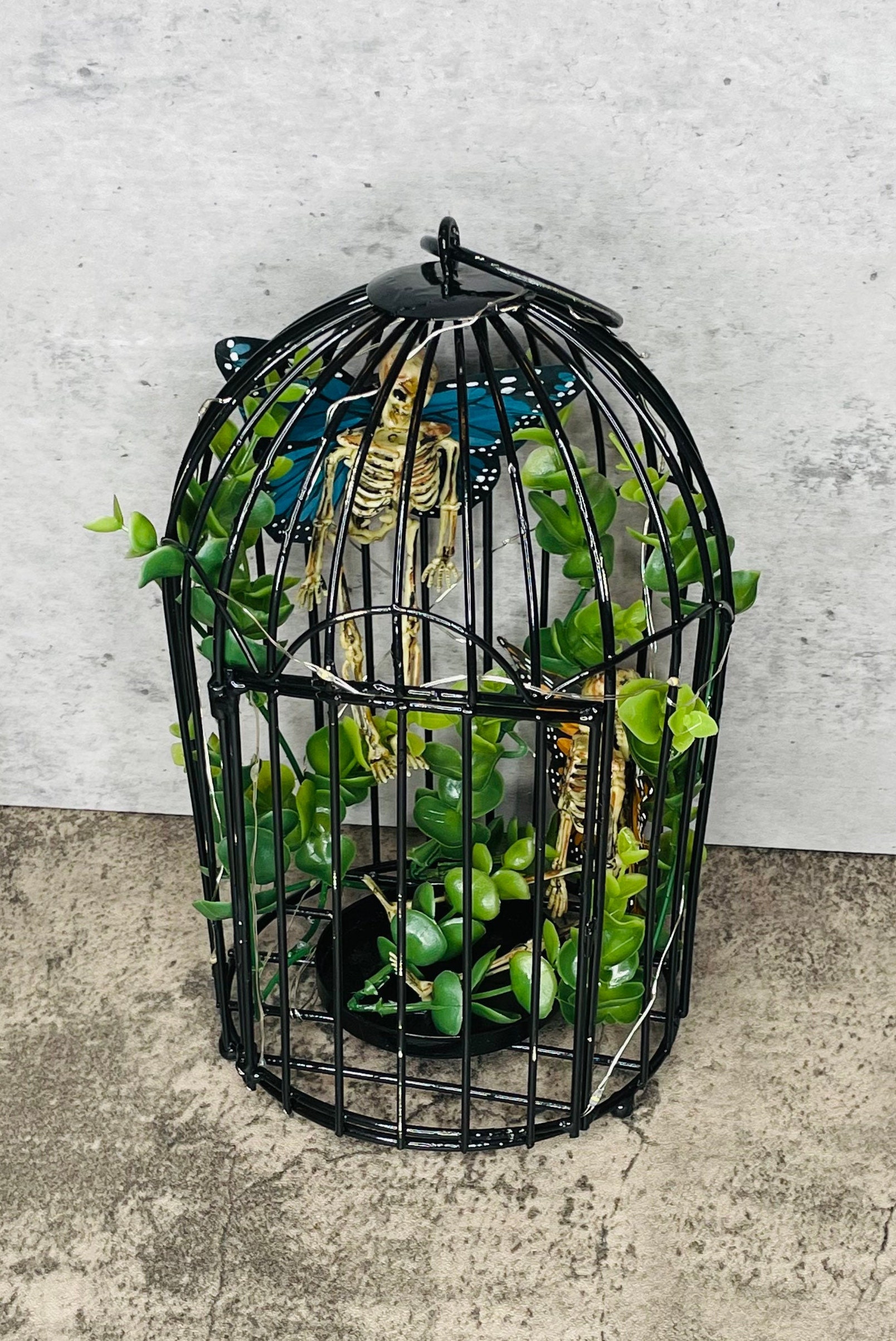 Fairy In A Cage