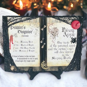 Snow White Themed Open Spell Book - Etsy