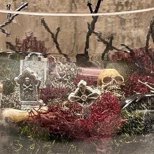 Glass Apothecary Jar Cemetarrium - Etsy