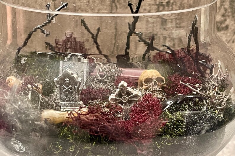 Glass Apothecary Jar Cemetarrium - Etsy