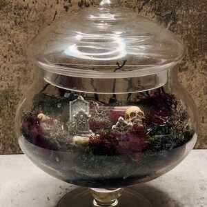 Glass Apothecary Jar Cemetarrium - Etsy