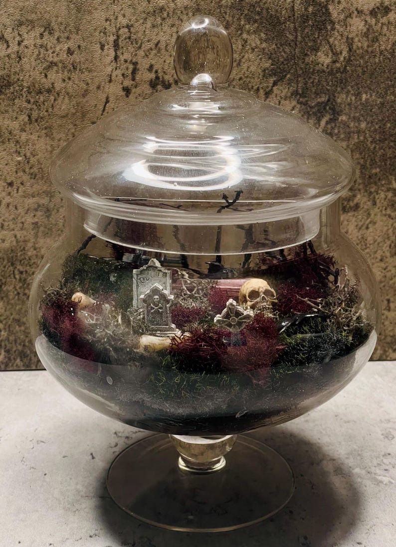 Glass Apothecary Jar Cemetarrium - Etsy