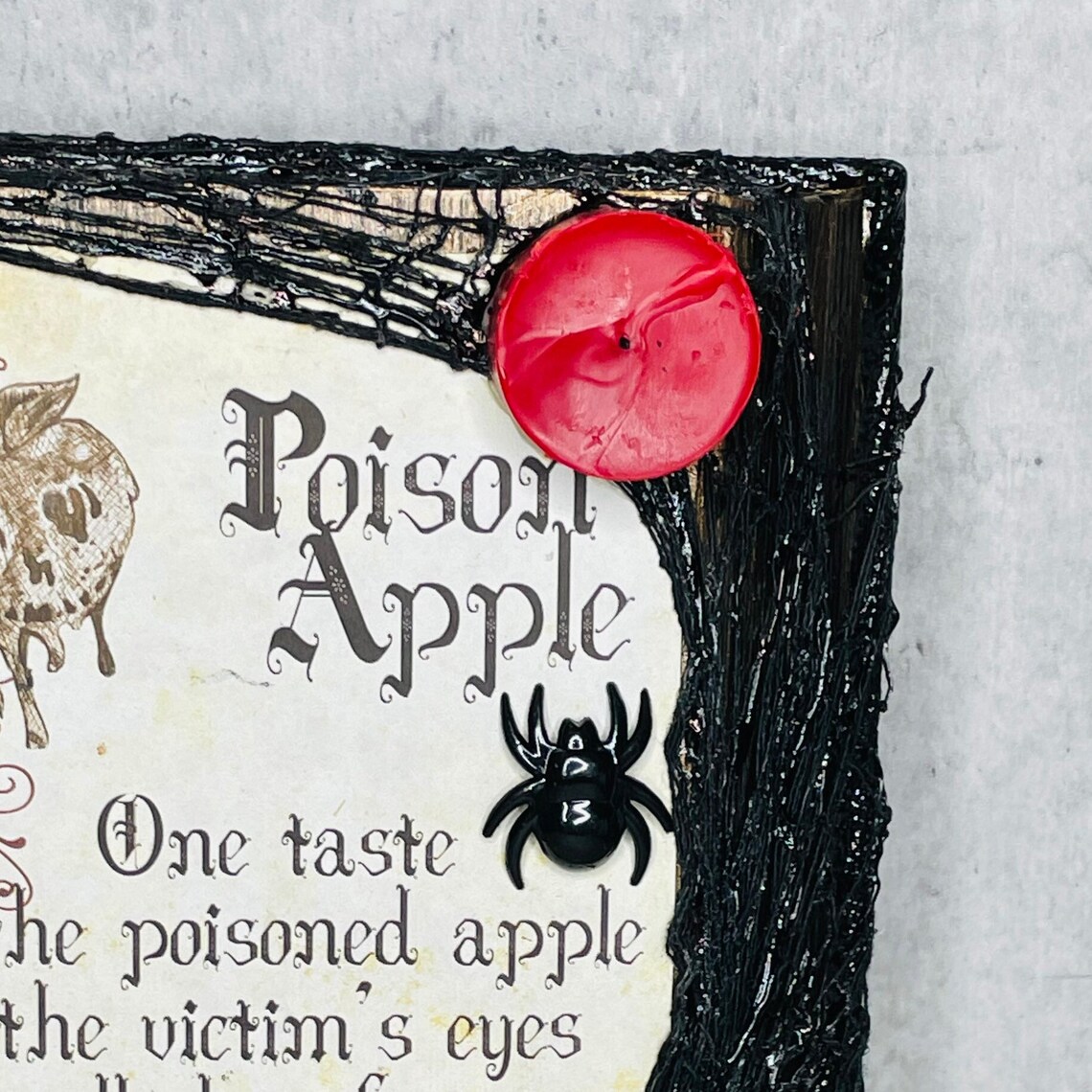 Snow White Themed Open Spell Book - Etsy