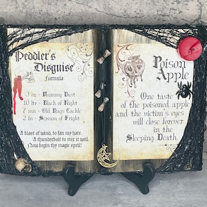 Snow White Themed Open Spell Book - Etsy