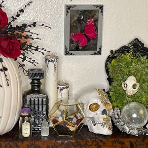 Cracked Glass Orb Skeleton Hand Decoration - Etsy