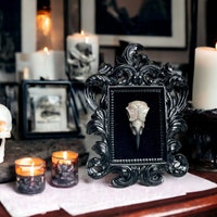 Skull Decor - Etsy