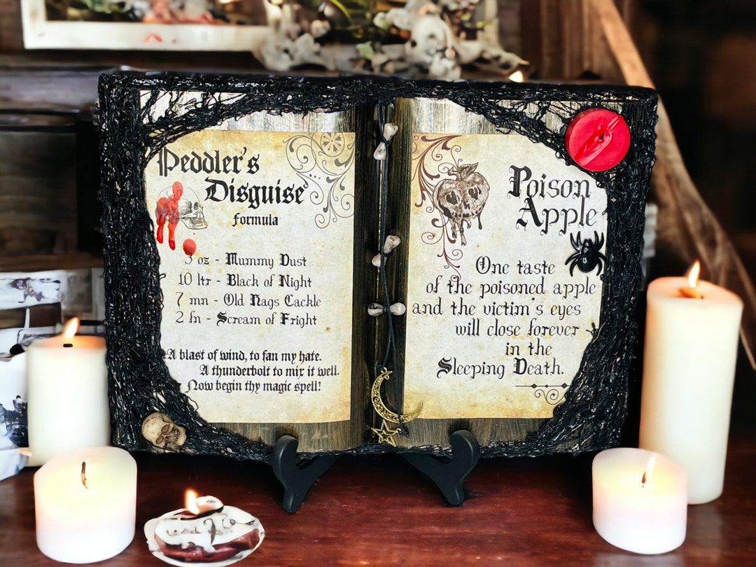 Snow White Themed Open Spell Book - Etsy
