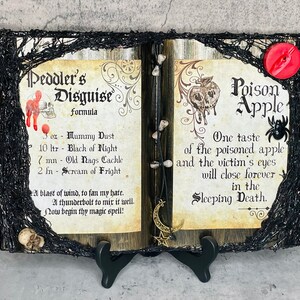 Snow White Themed Open Spell Book - Etsy
