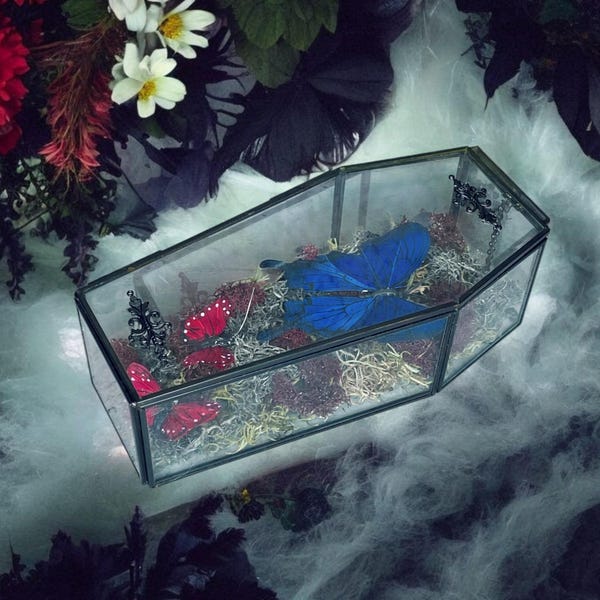 Glass Coffin Decor - Etsy