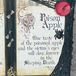 Snow White Themed Open Spell Book - Etsy