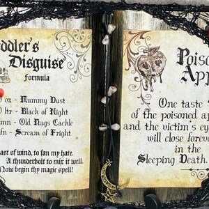 Snow White Themed Open Spell Book - Etsy