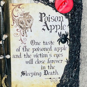Snow White Themed Open Spell Book - Etsy
