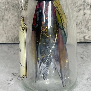 Pixie Wings Potion Bottle - Etsy