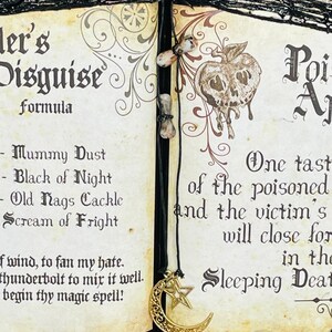 Snow White Themed Open Spell Book - Etsy