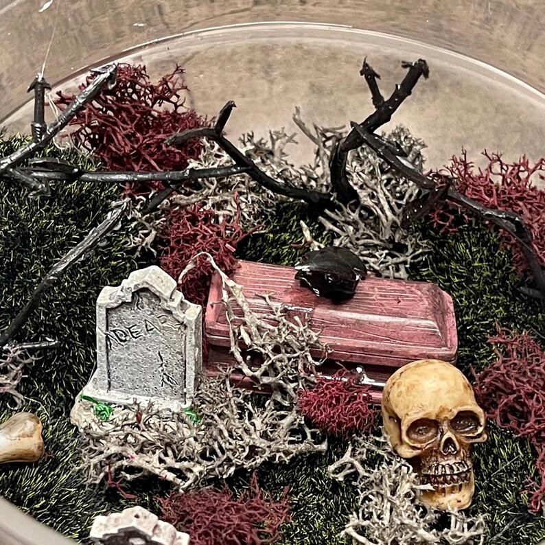Glass Apothecary Jar Cemetarrium - Etsy