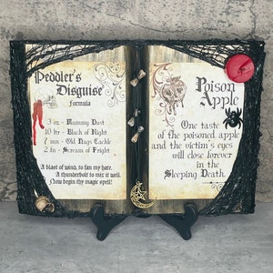 Snow White Themed Open Spell Book - Etsy