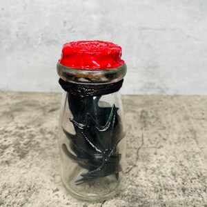 Bat Wings Potion Bottle - Etsy