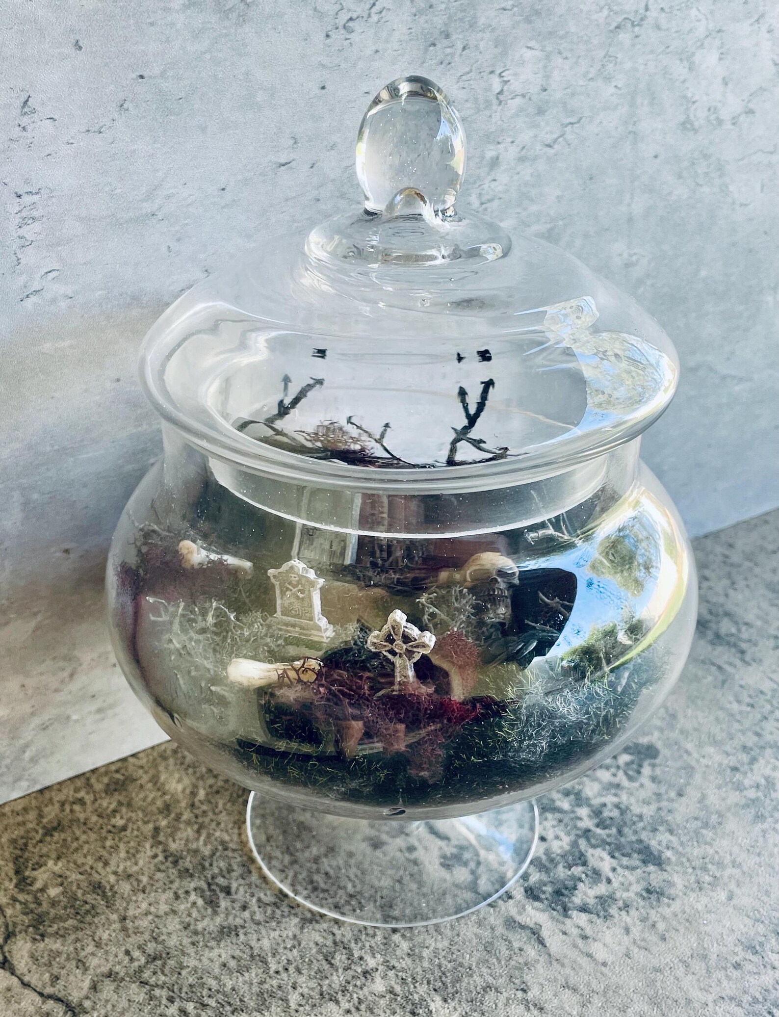 Glass Apothecary Jar Cemetarrium - Etsy