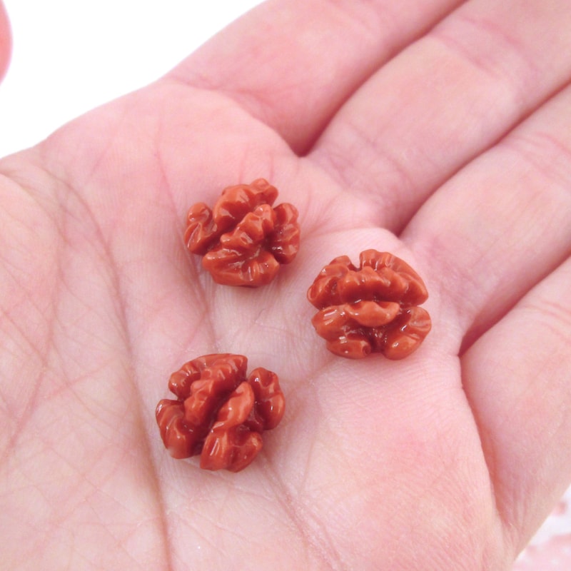 Walnut Nut Beaded - Etsy
