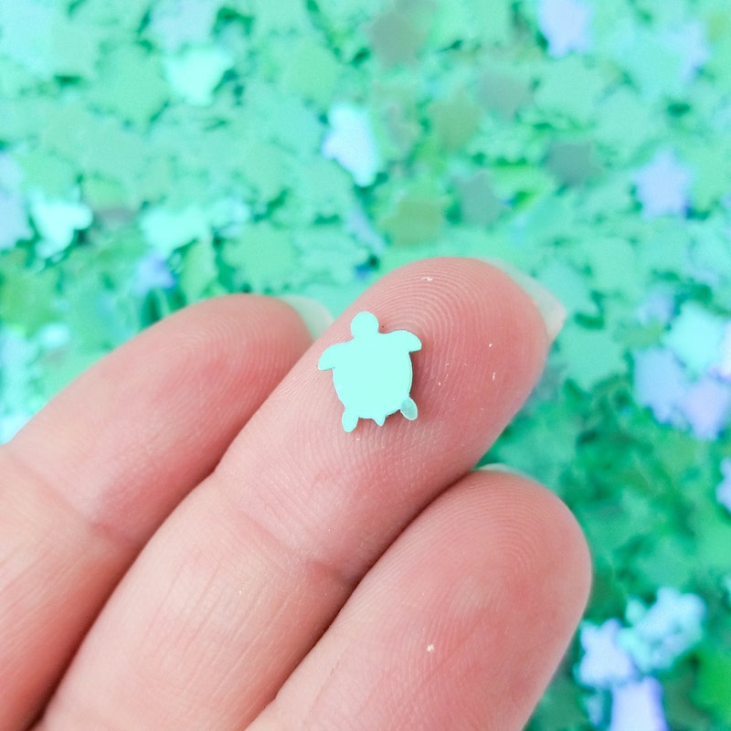 Glitter Turtle - Etsy
