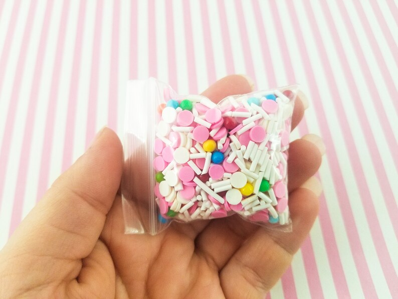 FROSTED ANIMAL CRACKER, Pink and Rainbow Polymer Clay Sprinkles With ...