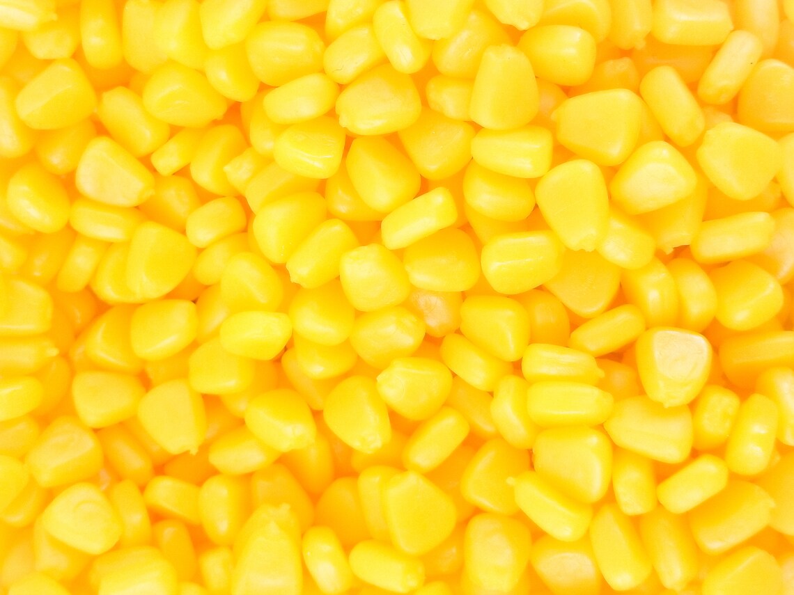 FAUX CORN Fake Corn Corn Add-on for Decoden Crafts and - Etsy