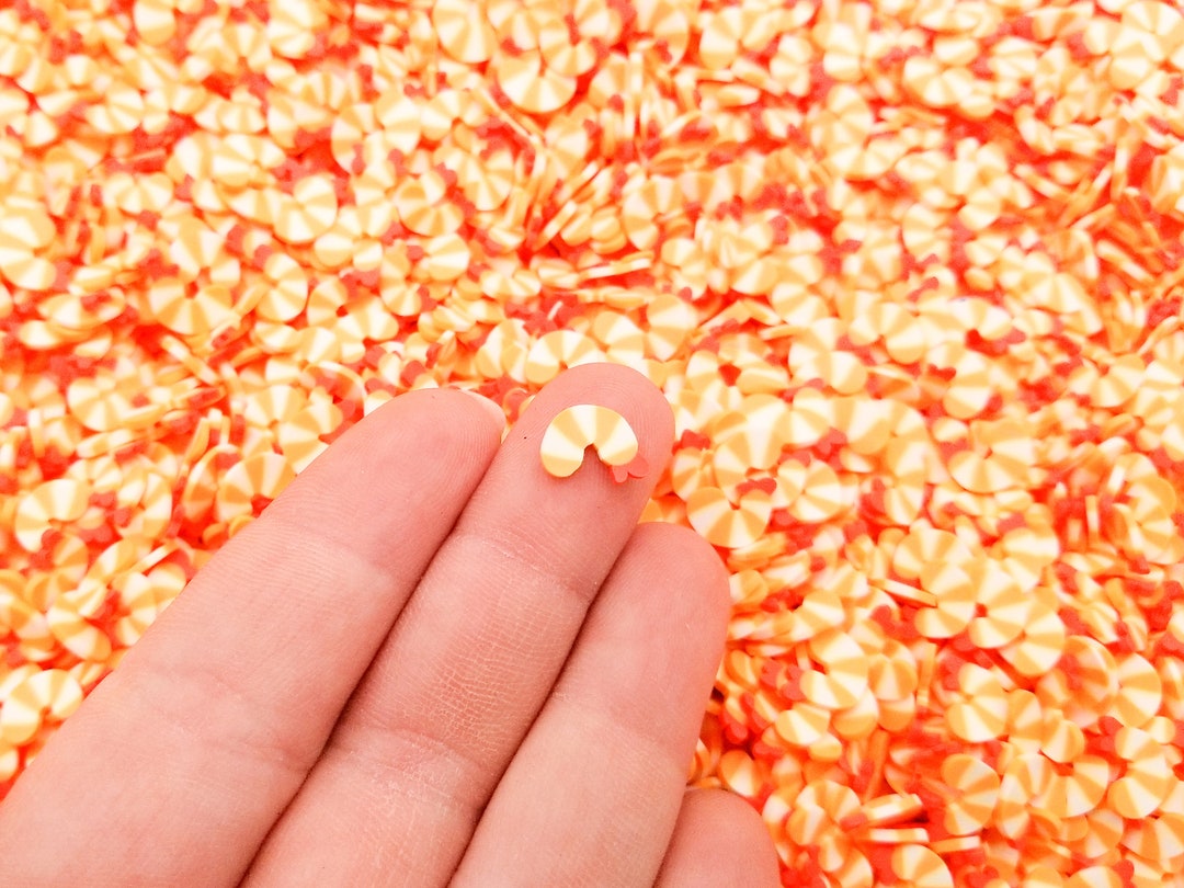 Large Shrimp Slice Polymer Clay Kawaii Fake Sprinkles, Fimo Fake Food ...