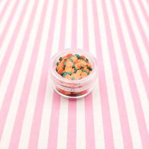 Small Carrot Cane Polymer Clay Sprinkles for Decoden Funfetti - Fimo ...