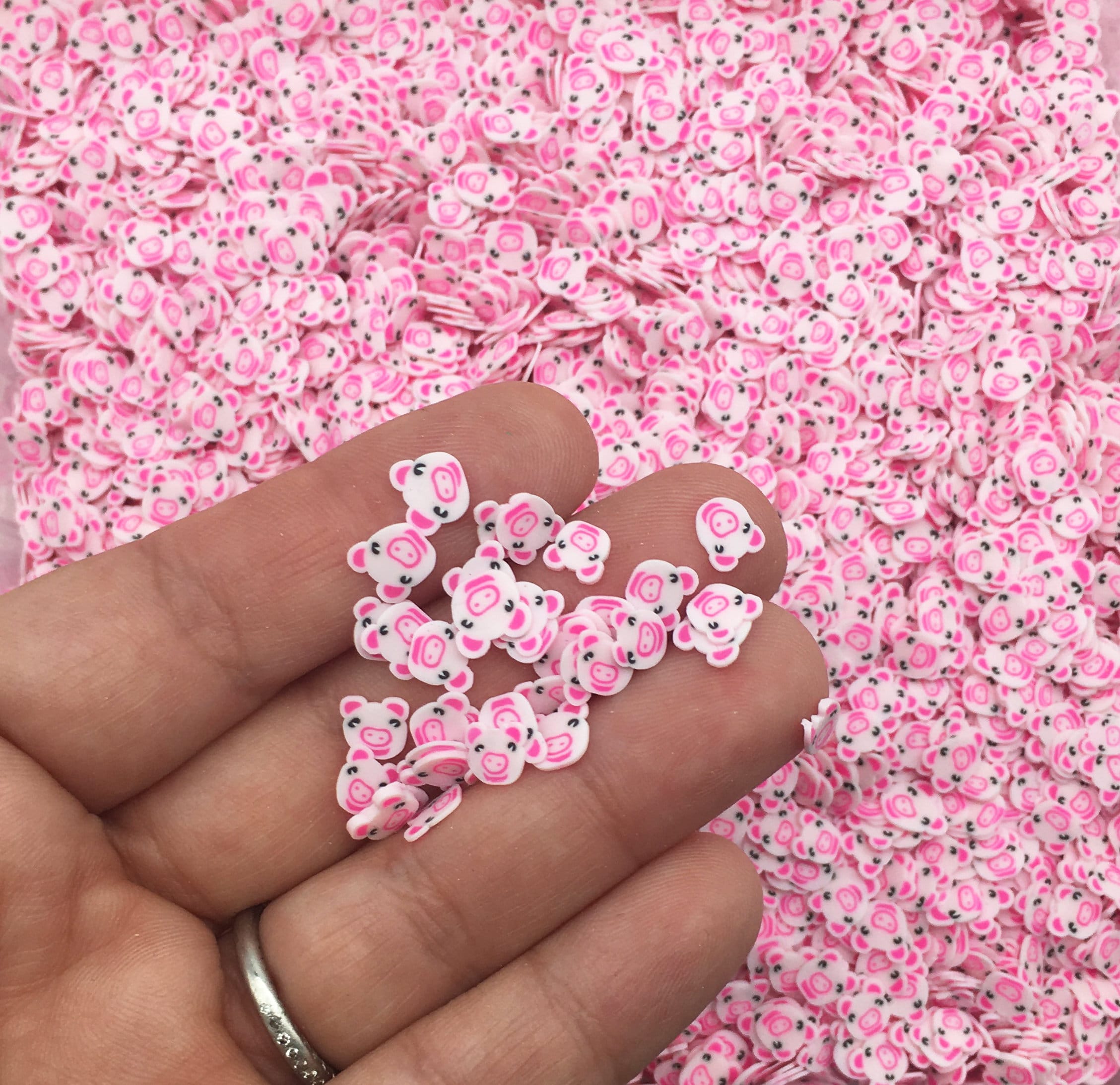 Fake Sprinkles Pig - Etsy