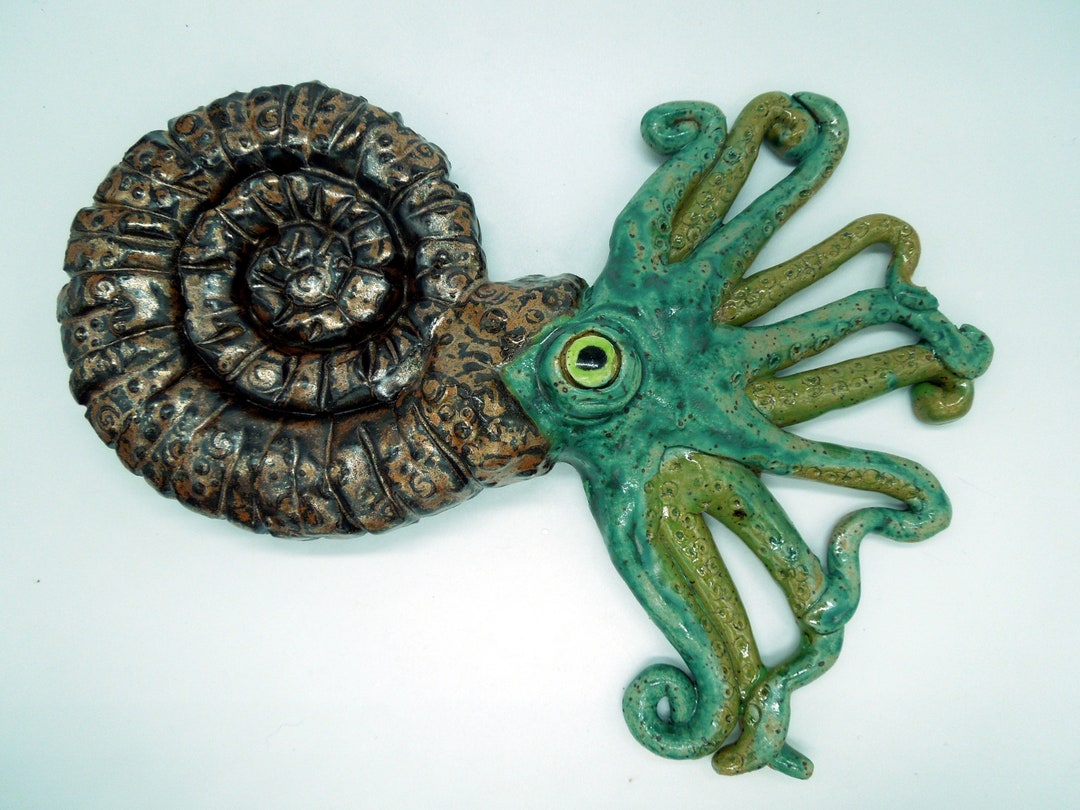 Copper and Green Wall Ammonite - Etsy