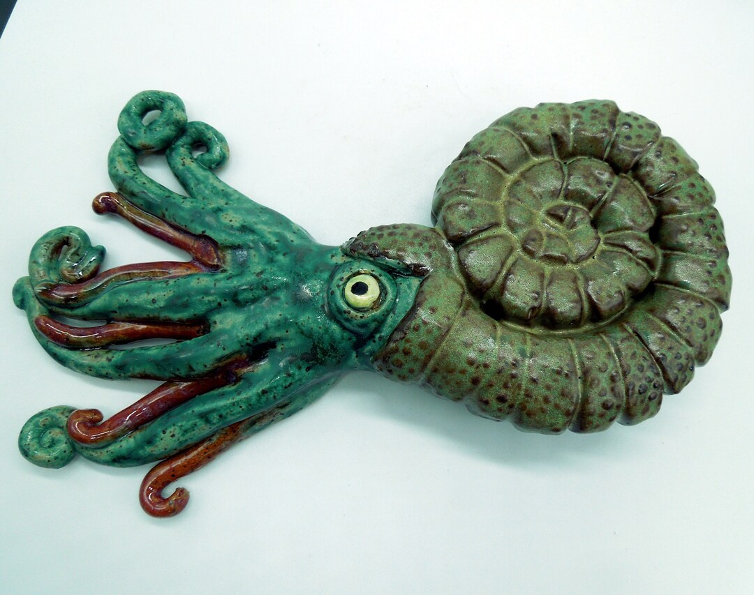 Green Wall Ammonite - Etsy