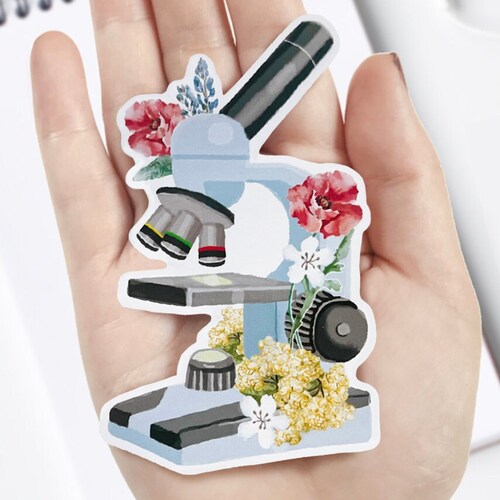 Plant Cell Cross Section Vinyl Sticker Unique Science Decal - Etsy