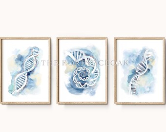Dna Rna Poster - Etsy