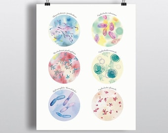 Thank You Card for Microbiology professor Chemistry Biology | Etsy