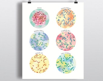 Thank You Card for Microbiology professor Chemistry Biology | Etsy